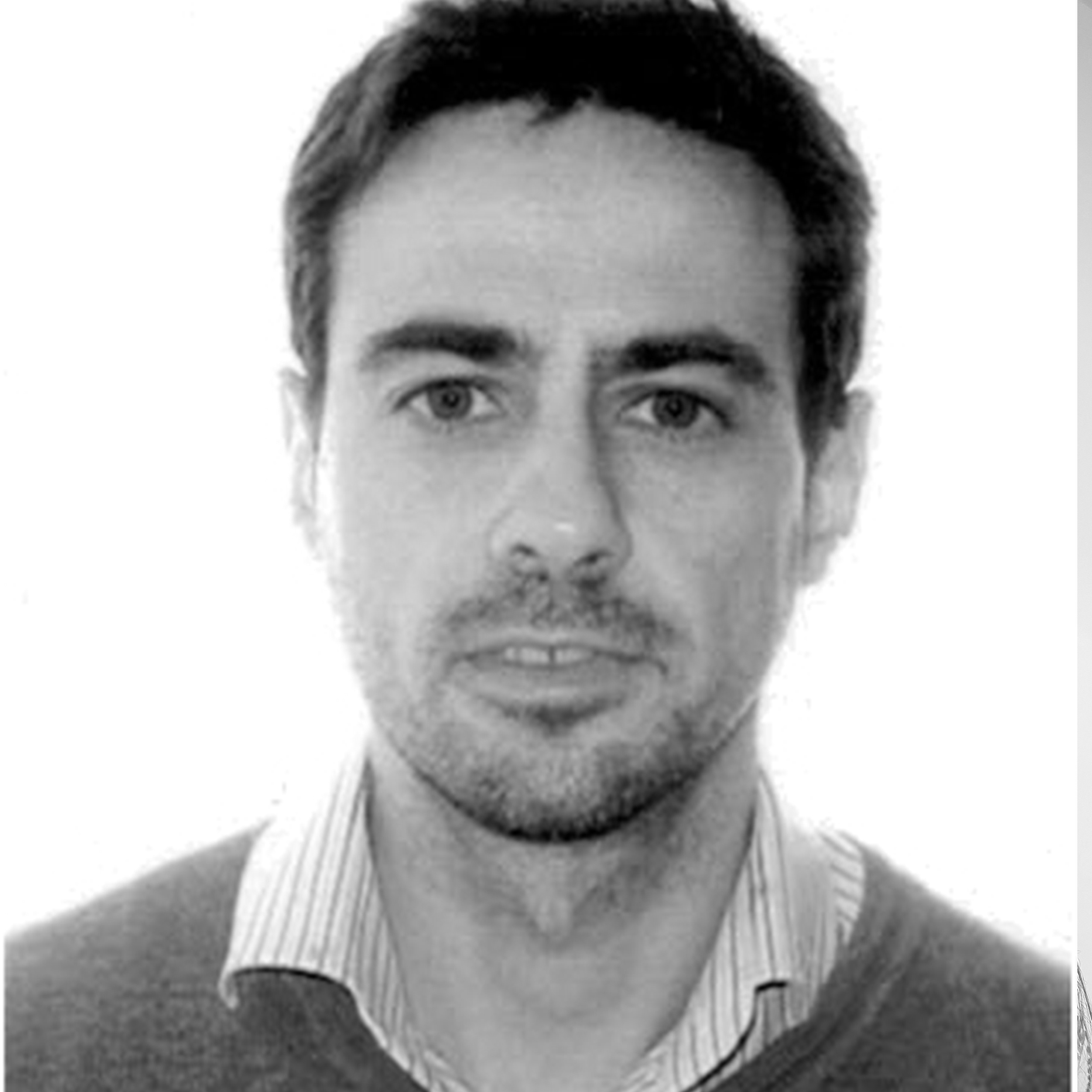 David Pardo – Comunicación, Arte y Cultura Visual